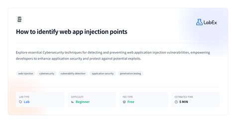 how to identify web app injection points labex