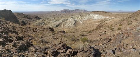 West Mojave Wildlife Management Areas — Transition Habitat Conservancy