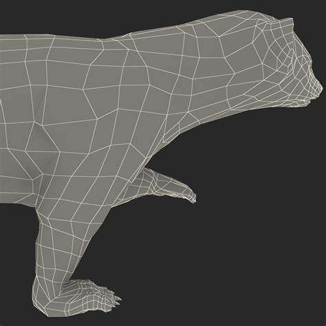 Wiesel Pose 1 3d Modell 99 C4d Ma Max Obj 3ds Free3d