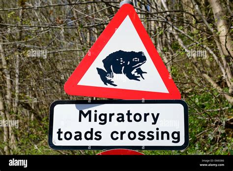 A Road Sign Warns Drivers To Beware Of Migratory Toads Crossing The