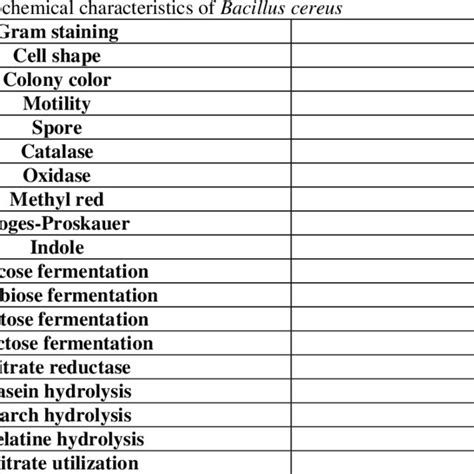 Phylogenetic Tree Of Bacillus Cereus Download Scientific Diagram
