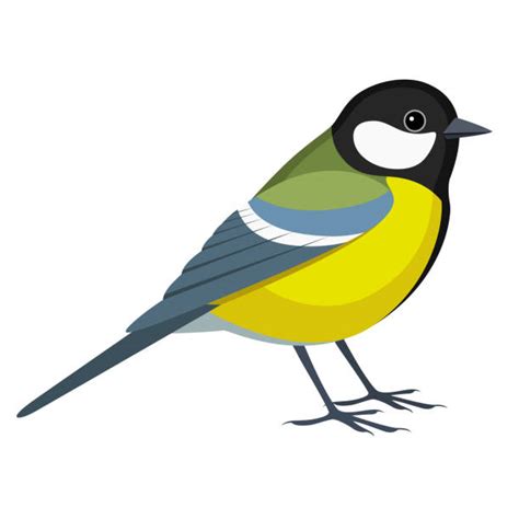 920 Tiny Tit Pic Stock Illustrations Royalty Free Vector Graphics