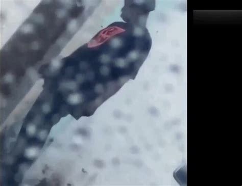 Dude Caught Pissing In Jamaica