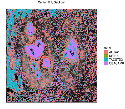 Molecule Analysis
