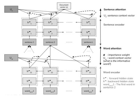 Architecture Of The Hierarchical Attention Network Download