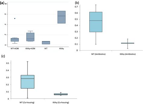 Examination Of Specific Bacterial Species Eubacterium Rectale In Both
