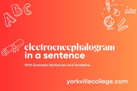 How To Use Electroencephalogram In A Sentence Easy Examples