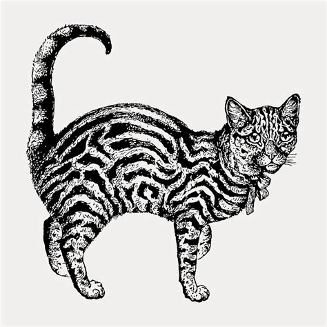 Iconsofthesilverscreen Design Images Free Photos Png Stickers Wallpapers And Backgrounds