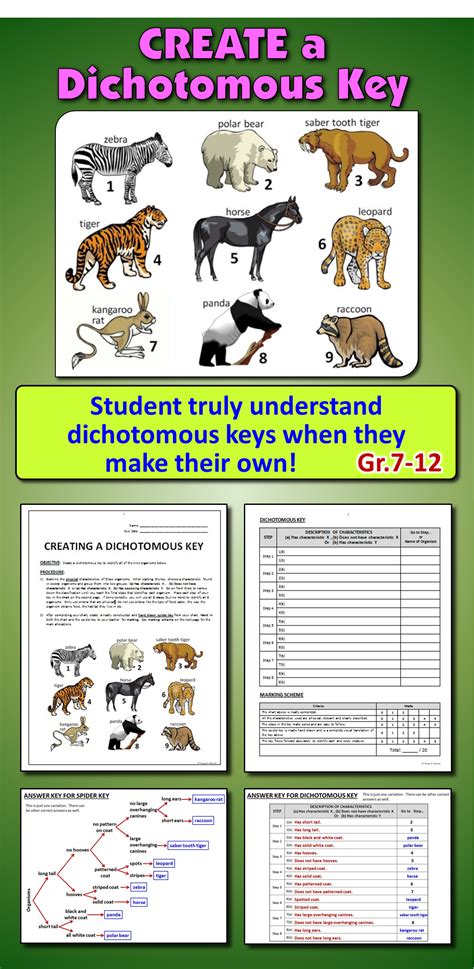 Dichotomous Key Worksheet Answer Key Printable Grammar Worksheett