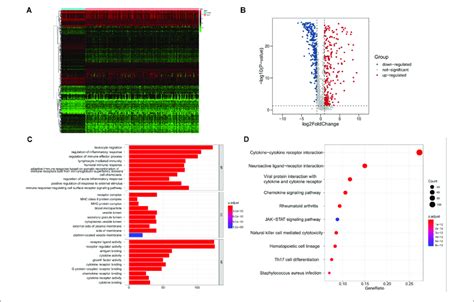 Identification And Functional Enrichment Analyses Of Differentially