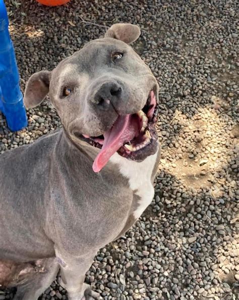 Michael Keith Cooper Posted On Linkedin