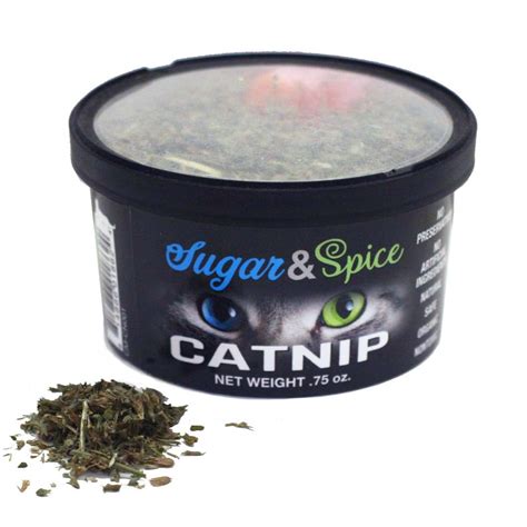 75 Oz Catnip Container Chewmaxpet