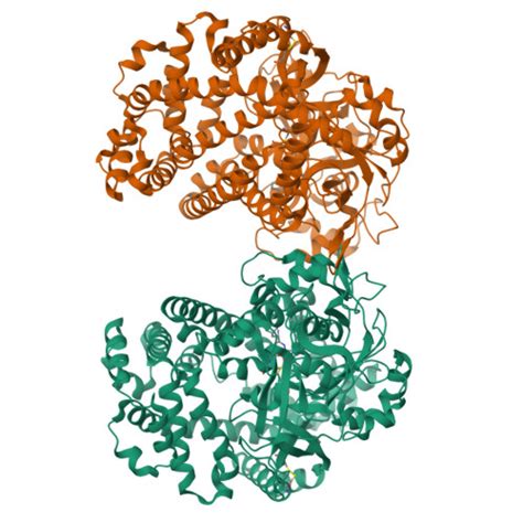 Rcsb Pdb 8grt Small Dipeptide Analogues Developed By Co Crystal Structure Of Stenotrophomonas