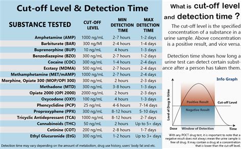 Alcohol Urine Test Results Chart At James Buckler Blog