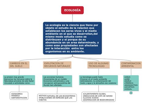 Identifying Multiple Perspectives Mind Map