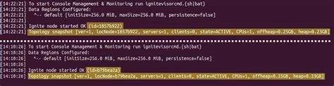 Apache Ignite Aws Basics