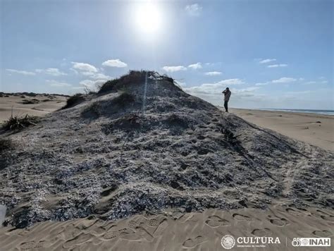 Isla Macapule Descubren Montículos Prehispánicos De Conchas En Sinaloa