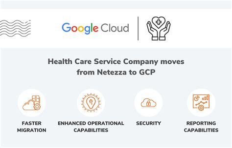 Netezza Logo Netezza Logo