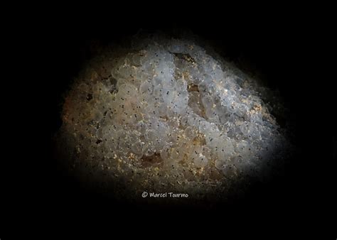 Flickriver Most Interesting Photos Tagged With Fischlaich