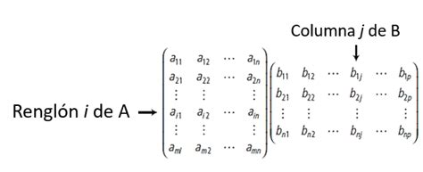 Multiplicación De Matrices Ejercicios Resueltos 【 Paso A Paso】 🥇