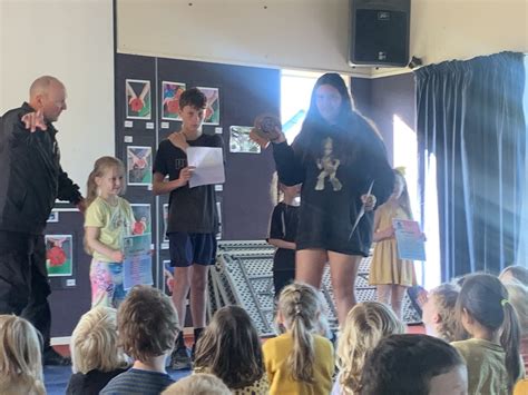 Home Brookyln School Motueka
