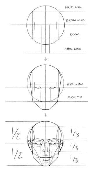 Enhance Your Drawing Skills Face Anatomy Made Easy