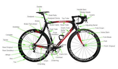 How To Understand Bike Terminology Artofit