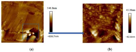 Three Dimensional Pore Structure Characterization Of Bituminous Coal And Its Relationship With
