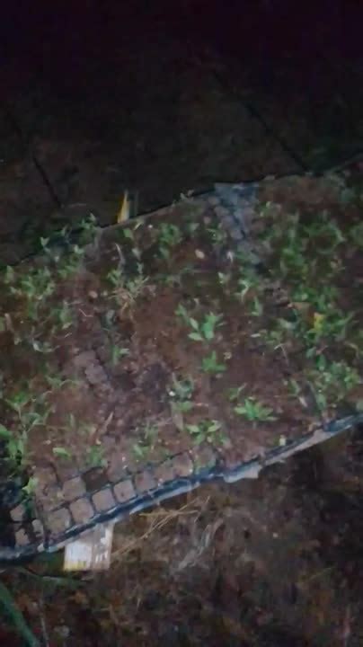 Video Jeffrey Makhubele On Linkedin Voltalia Waynecarolus Nuraanabrahams