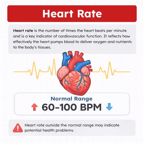 Heart Rate Physiology And Assessment In Respiratory Care