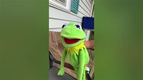 Funny Kermit Moments Youtube