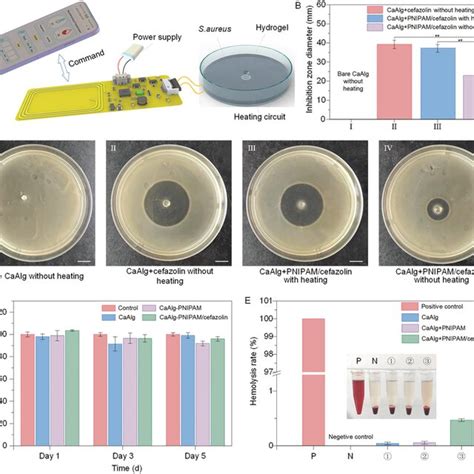 Antibacterial Biocompatibility And Hemocompatibility Of The Wp A