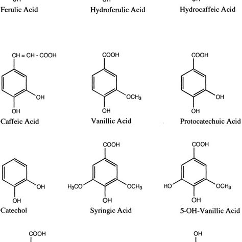 Proposed Degradation Pathways A Ferulic Acid B Syringic Acid