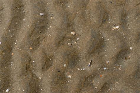 รูปภาพwassertier เลือกดูภาพถ่ายสต็อก เวกเตอร์ และวิดีโอ2043 Adobe Stock