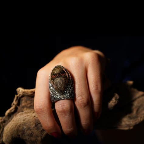 Sevan Bicakci On Instagram “owls Are Known For Their Choice Of Designing A Strategy Rather Than