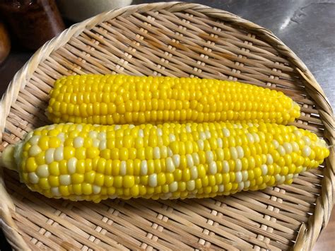 トウキビ あめつちブログ 日常編