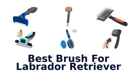 Best Brushes For Labs Top 10 Picks 2026 Homestead Authority