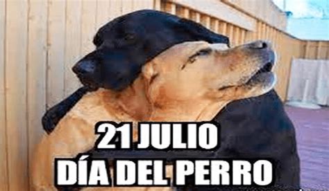 Día Mundial Del Perro 2024 Disfruta Los Memes Más Hilarantes Para