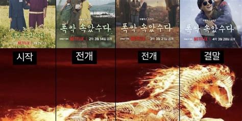 폭싹 속았수다 촬영 종료 후 스태프 배우들에게 보낸 임상춘 작가의 편지 에펨코리아