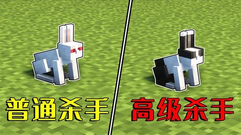 我的世界：5个mc冷知识，高级 杀手兔”，红石矿发电机 Youtube