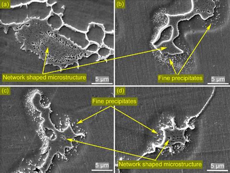 Microstructure Images Obtained By Sem After Thermal Simulations With