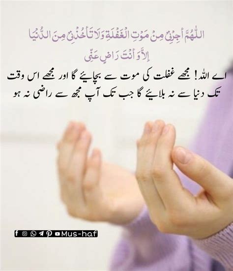 Zainab Batool Posted On Linkedin