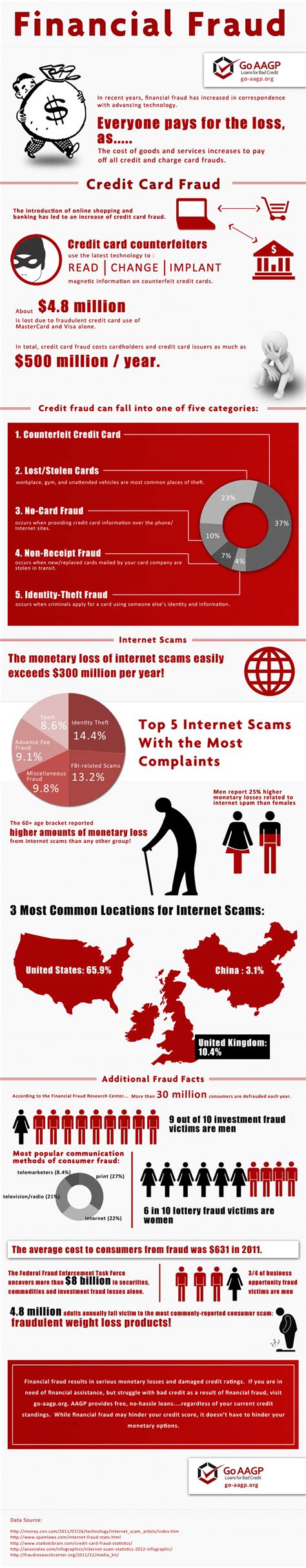Facts About Financial Fraud Infographic