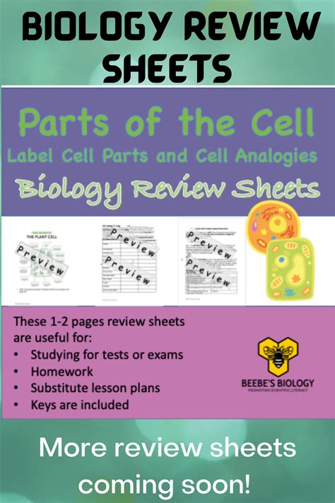 Cell Parts And Cell Part Analogies Review Substitute Lesson Plan