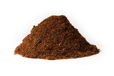 Char Coir Coirganic Coco 50l 1 75cf Organic Coco Coir