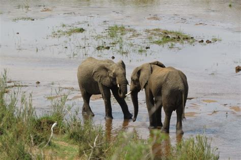 Maja Sonc Ljudje Tam So čisto Drugačni Od Nas Intervju