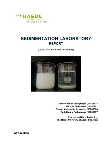 Sediment Lab Report Pdf Experiment Accuracy And Precision