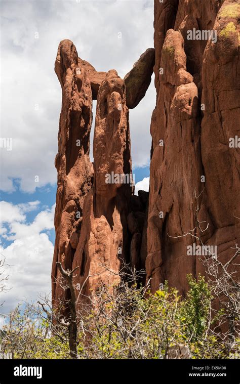 Red Rocks Bizarre Form Garden Of The Gods Colorado Springs Colorado