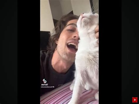 Damiano David Of Maneskin And His Cat Cats David