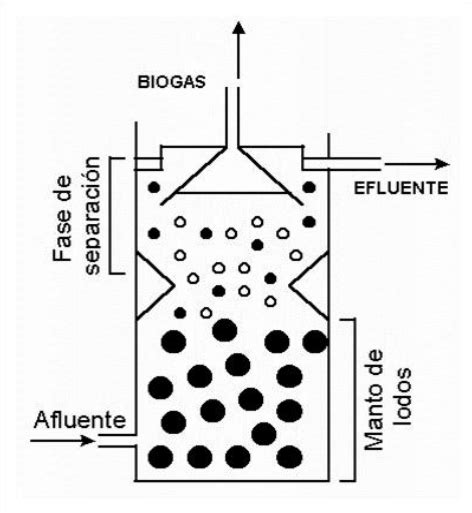 Definición Reactor Anaerobio De Flujo Ascendente9